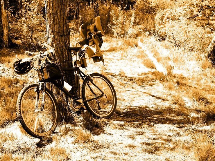 Velosipedlərin Keçmişdən Bugünə Qədər Olan Tarixi - Fitx.az
