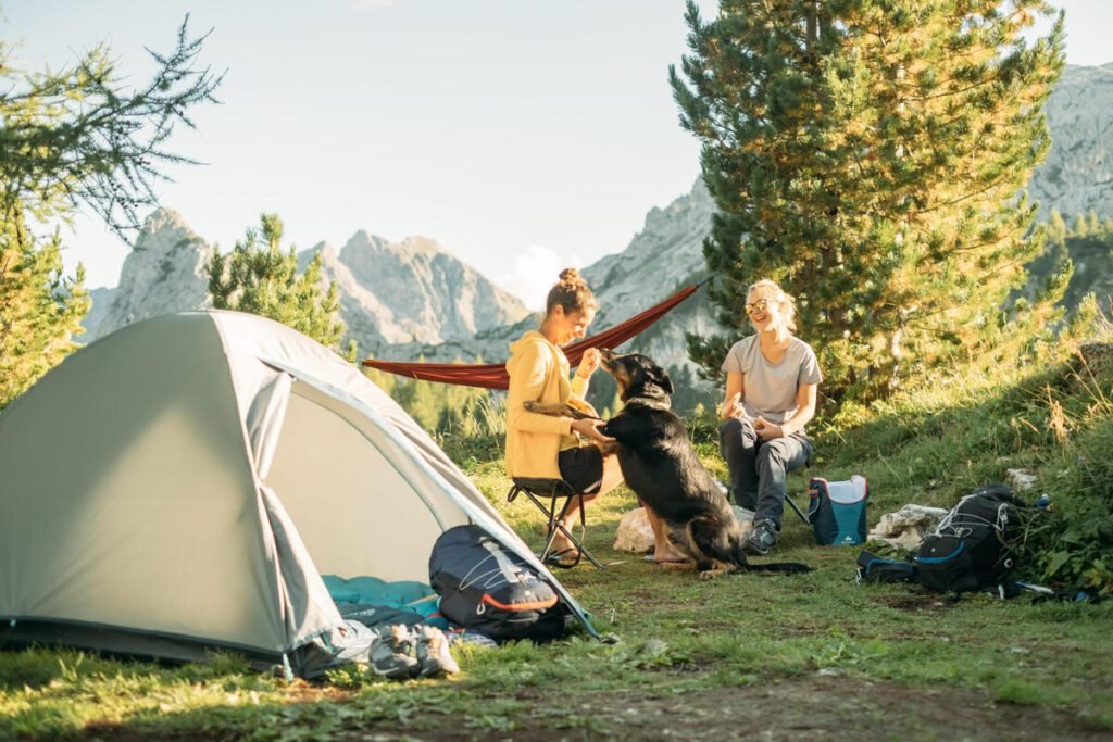 Quechua MH100 Kamp Çadırı - Fitx.az